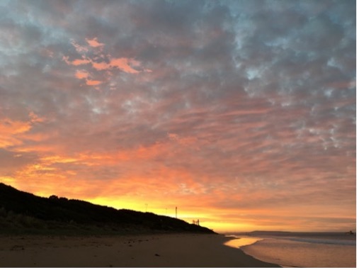 Schola Contemplatio - Contemplatio